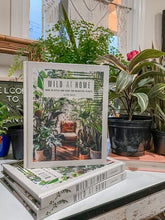 Verd – Verd Houseplants