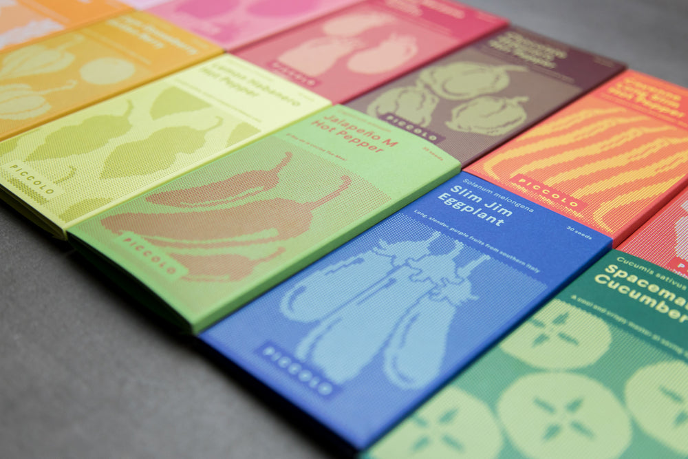 Verd – Verd Houseplants