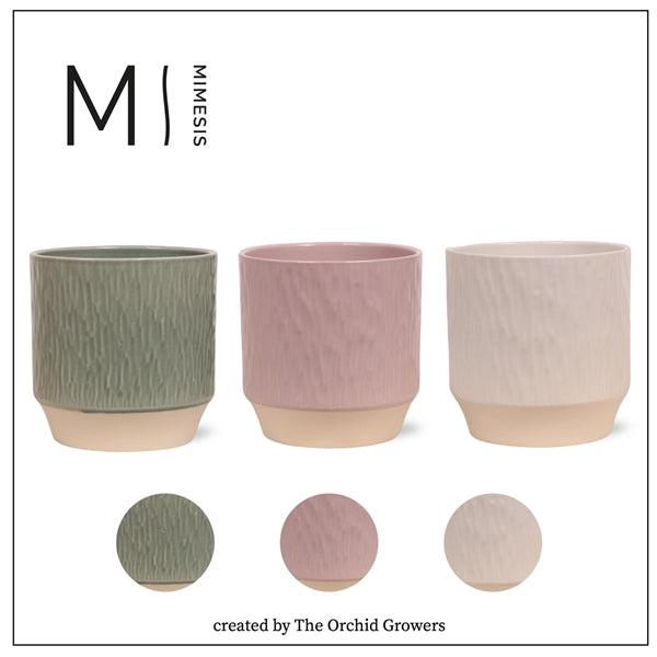 Ceramic Luna Mix 12cm – Verd Houseplants