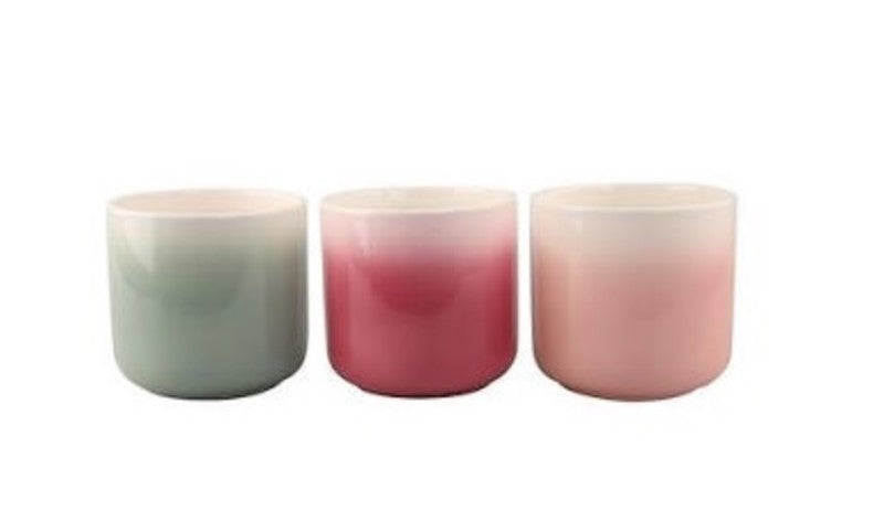 Ceramic Pot Paris Mix – Verd Houseplants